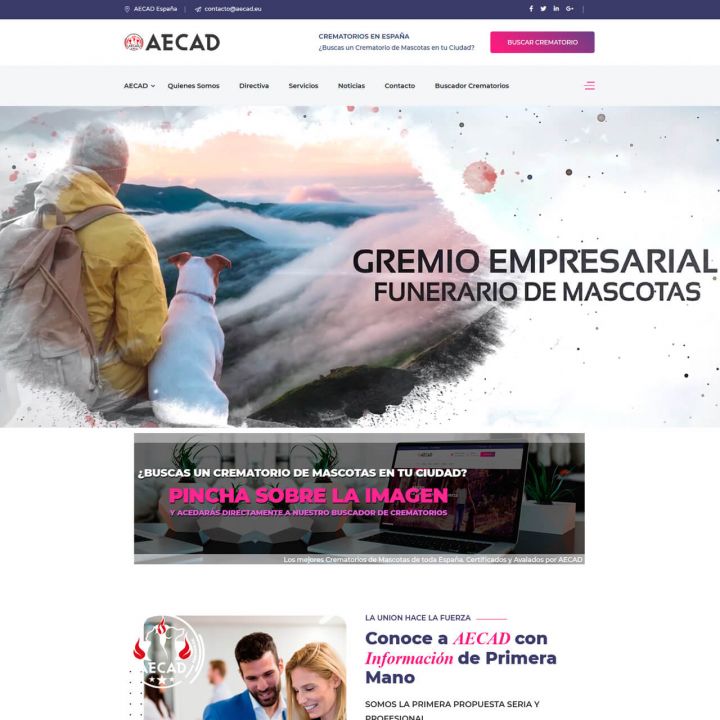 Página Web AECAD - DisCorp.es